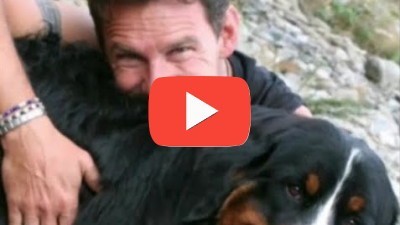 Cibo per Cani: Produzione e Vendita Mangime per Cani | Dogbauer